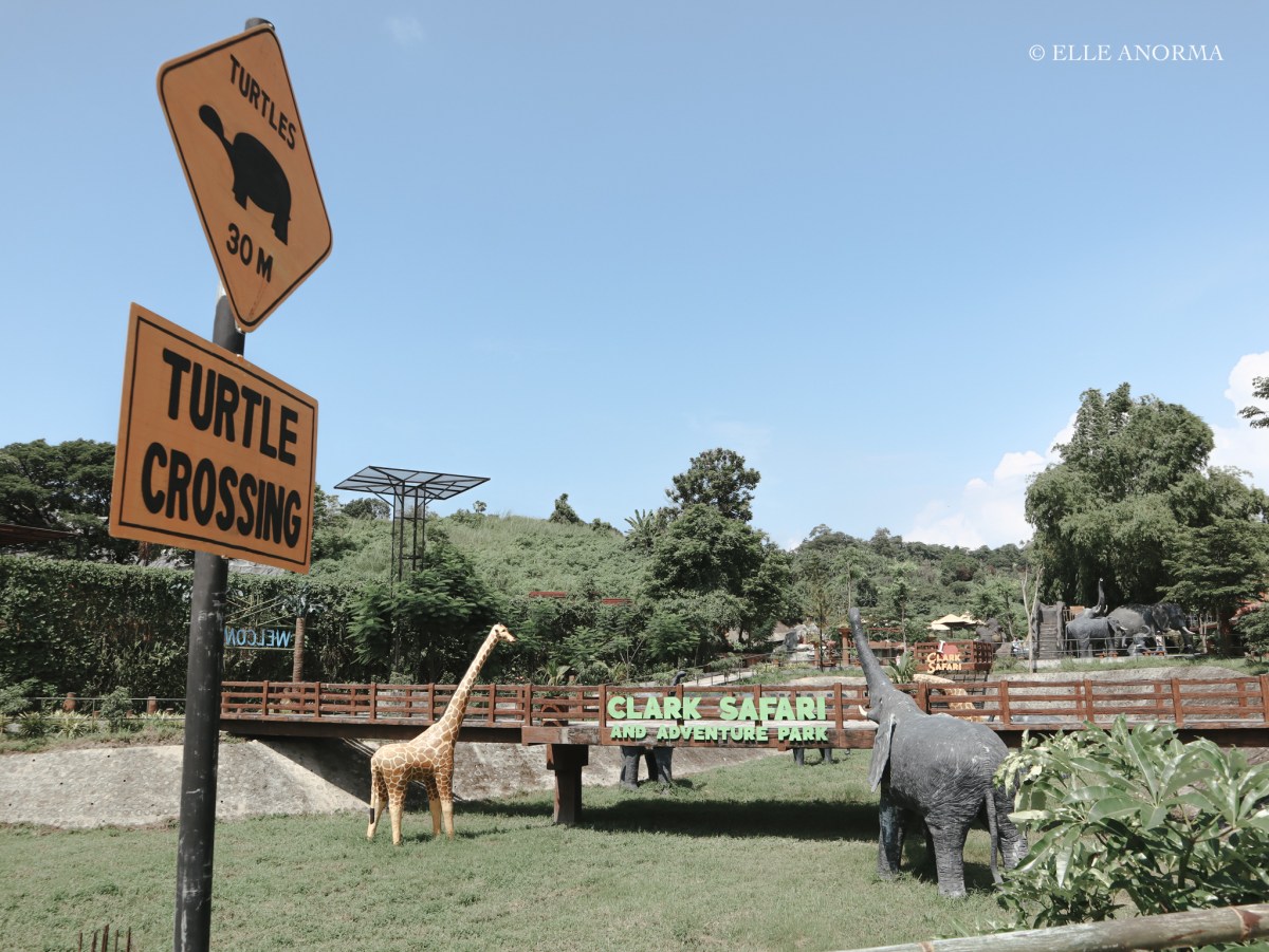 A quick side-trip to the Clark Safari and Adventure Park